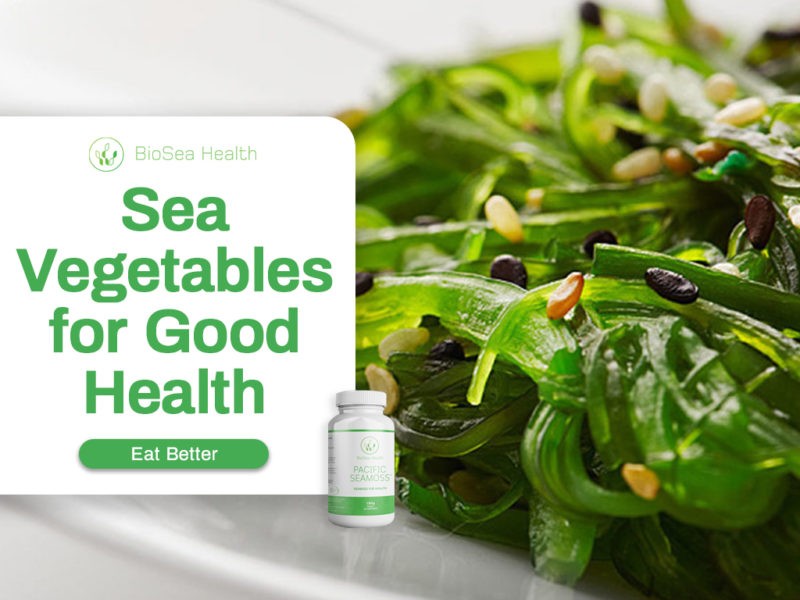 The Ultimate Sea Vegetable - Full of minerals & vitamins